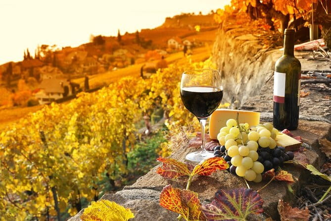 Private Tuscan Dinner Half Day from Florence - Authentic Experiences and Reviews