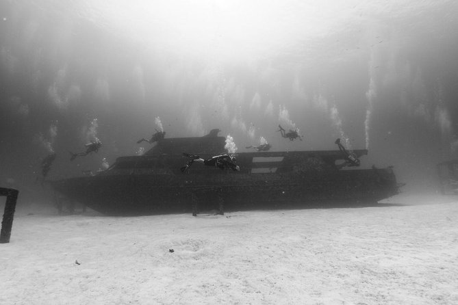 Racha Noi and Racha Yai Dive Trip from Phuket - Final Verdict