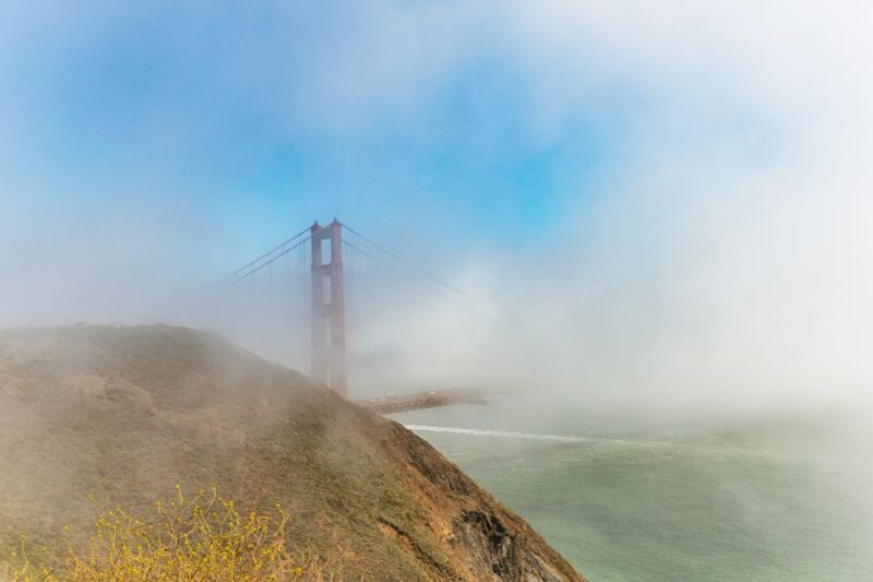 San Francisco: Muir Woods and Sausalito Small-Group Tour - Final Words