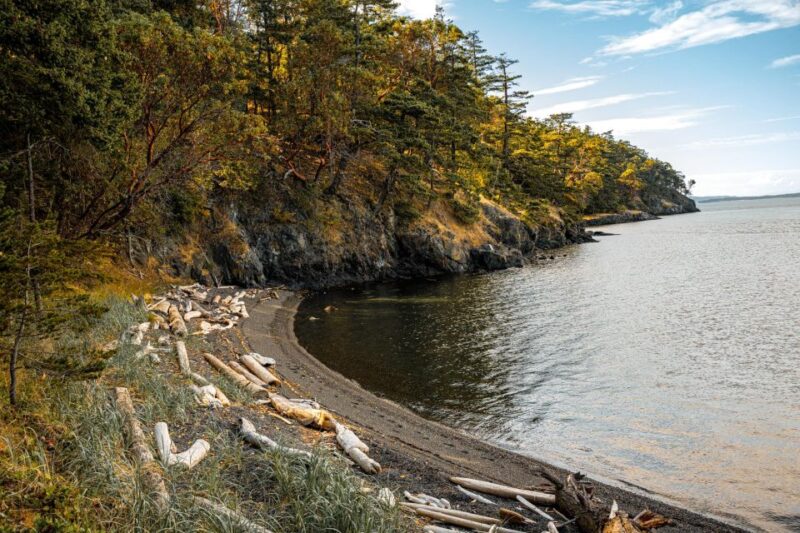 San Juan Island: 3-h Griffin Bay Tour - Whats Included and Whats Not