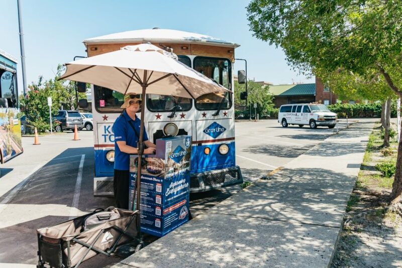 Savannah: Tybee Island Dolphin Tour - Breakdown of the Itinerary
