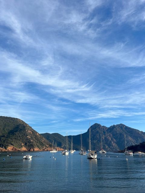 Scandola, Piana & Girolata - Final Thoughts: Who Will Love This Tour?
