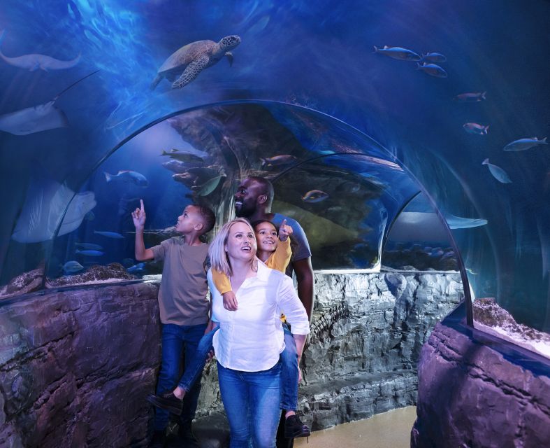 SEA LIFE Michigan Aquarium General Admission - FAQ