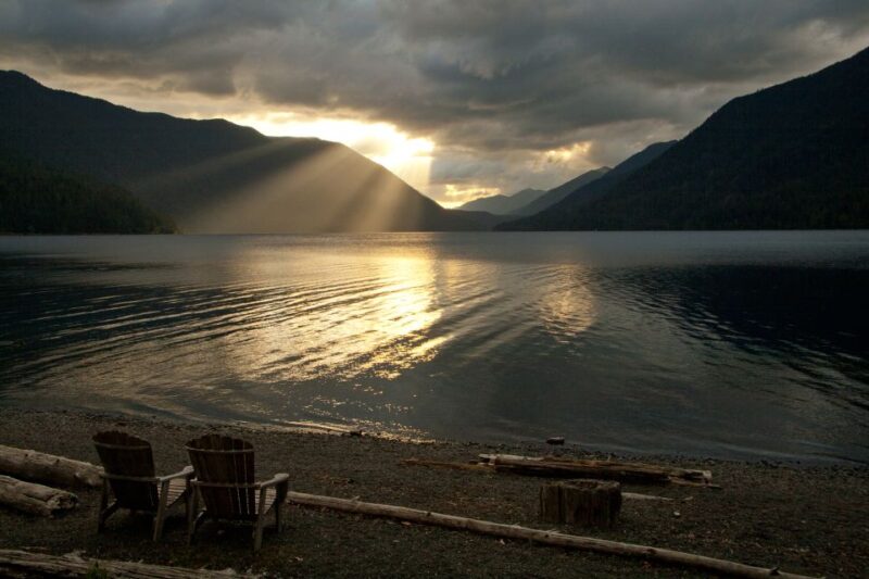 Seattle: Olympic National Park Small-Group Tour - Who Should Consider This Tour?