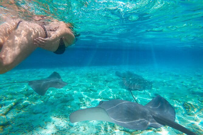 Shared Trip Sailing Komodo 3D2N - Who Is This Tour Best Suited For?