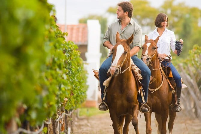 Siena San Gimignano Pisa Winery lunch & wine Limousine Service - Practical Tips and What to Expect