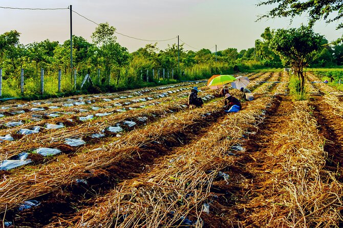 Silk Island Private Half-Day Tour from Phnom Penh - Frequently Asked Questions