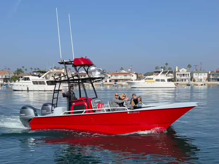 Superior 2hr Private Whale & Dolphin Watching Newport Beach - Who Should Book This Tour?