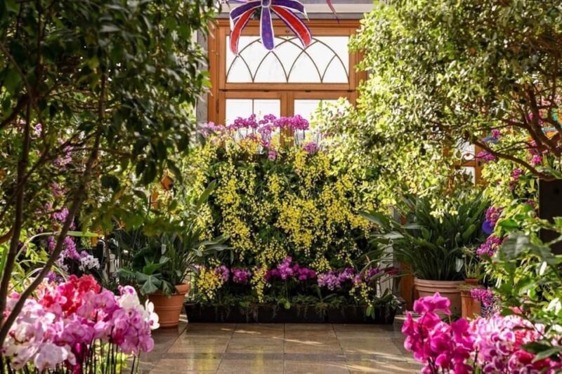 The New England Botanic Garden Day Trip from Boston - The Value of This Experience