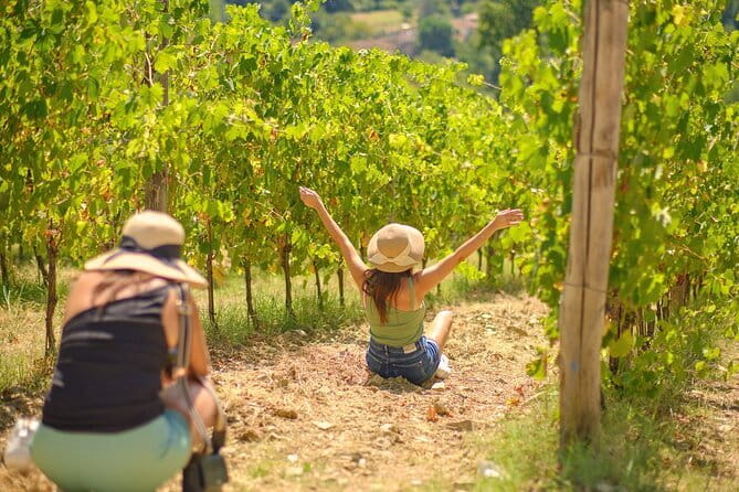 Tour Tasting & platter at an Organic Winery - Panzano in Chianti - Who Will Love This Tour?