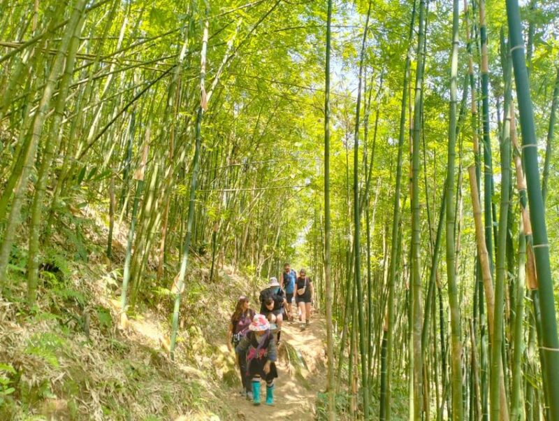 Trek to Local Ethnic Villages & Muong Hoa Valley/Guide/Lunch - FAQ