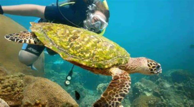 Wonder at Ang Thong Marine Park from Ko Samui - FAQ