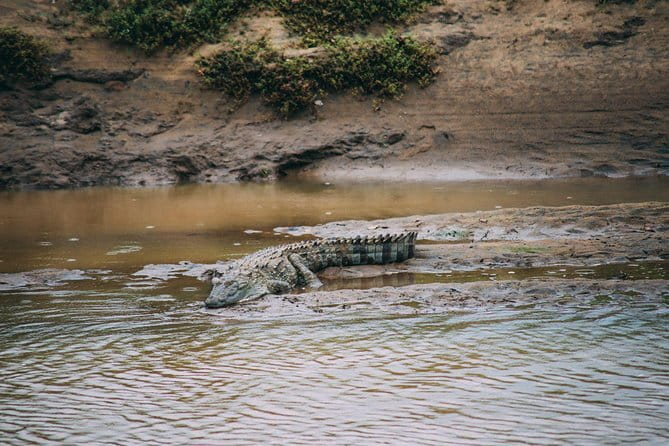 Yala Safari Day Trip from Ella/ Tangalle/ Dikwella/ Hambantota - Frequently Asked Questions
