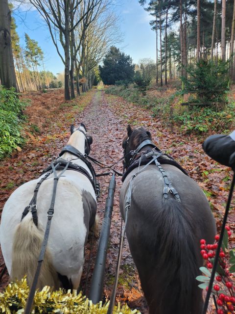 York: Horse Drawn Carriage Ride Around the Countryside York - FAQ