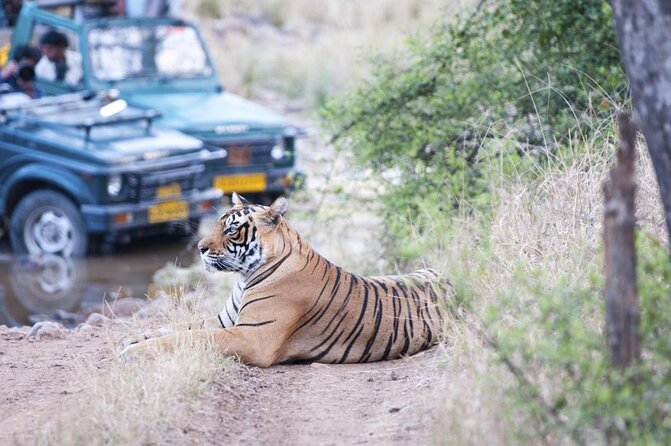 7-Day Golden Triangle Tour with Ranthambore Tiger Safari - Key Points