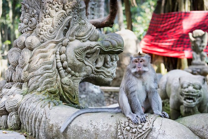 1-Day Ubud Tours All-Inclusive - Frequently Asked Questions