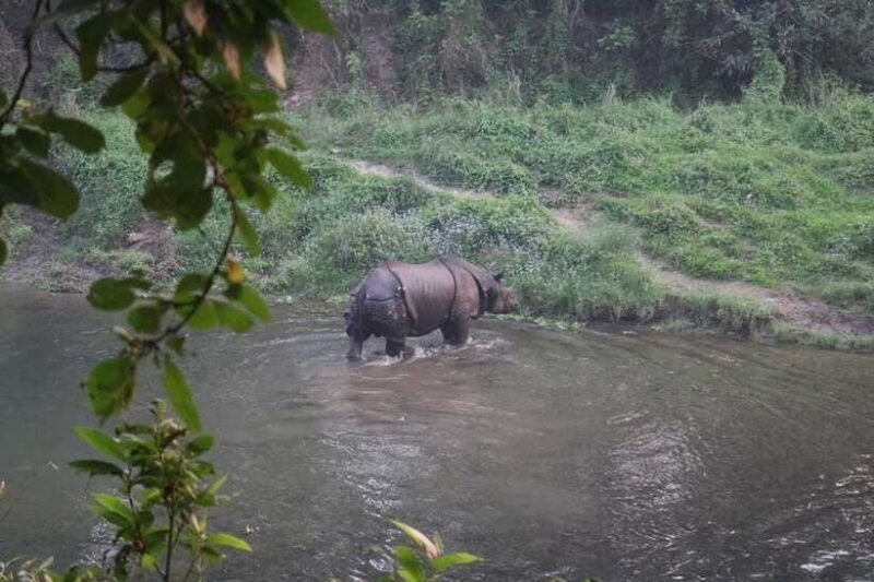 3 Days Chitwan Safari - Who Should Consider This Tour?