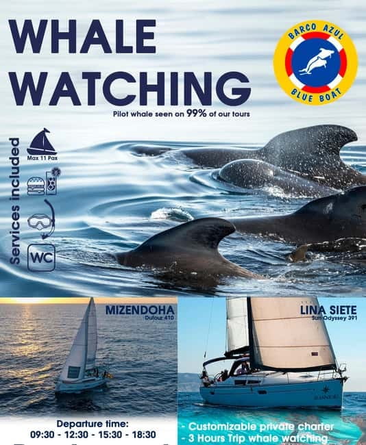 3h Whale Watching Private Tour Costa Adeje Lina7 Mizendoha - Who Should Consider This Tour?
