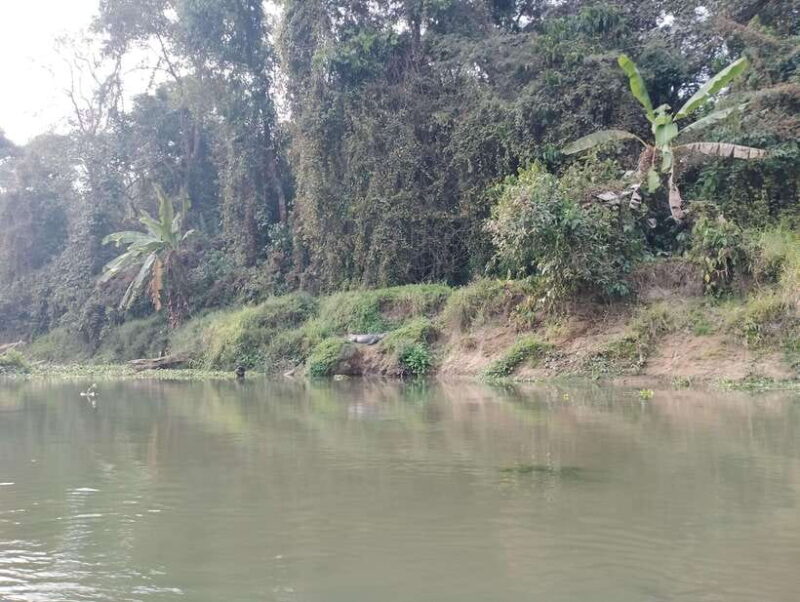 4-Day Chitwan Jungle Safari with Tower Night stay Tour - Final Thoughts