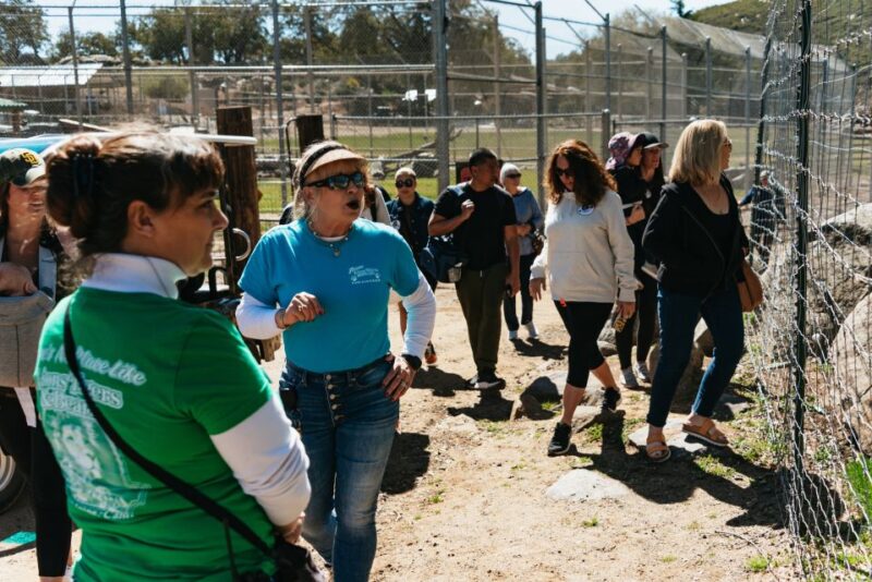 Alpine: Lions Tigers & Bears Animal Sanctuary Guided Visit - Authentic Experiences and What Visitors Say