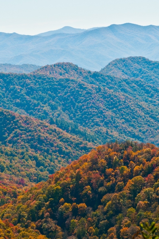 Asheville: Blue Ridge Mountains Tour for Children! - Final Thoughts