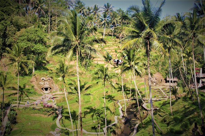 Bali Full Day Tour | Individual Route in Bali | Bali Guide | Free Wi-Fi - FAQ