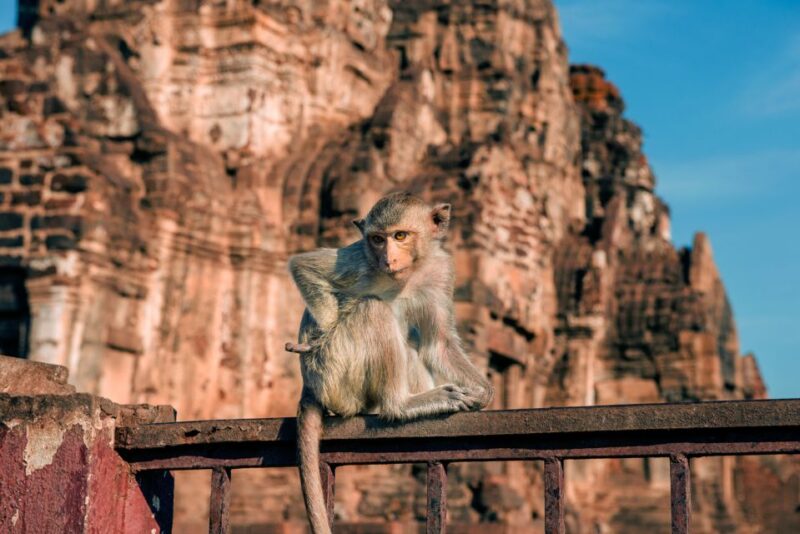 Bangkok: Ayutthaya & Lopburi Monkey Temple Private Day Trip - FAQ