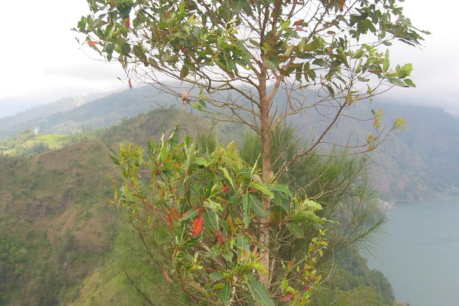 Batur Caldera Sunrise Trekking - Who Will Love This Experience?