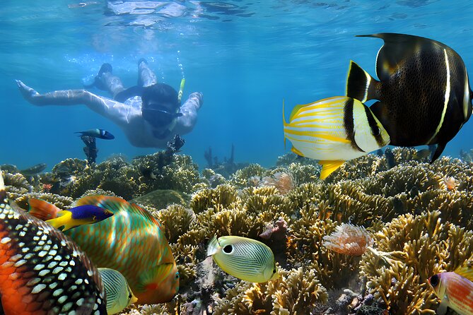 Blue Lagoon Snorkeling - Bali Best Snorkeling Site - FAQs