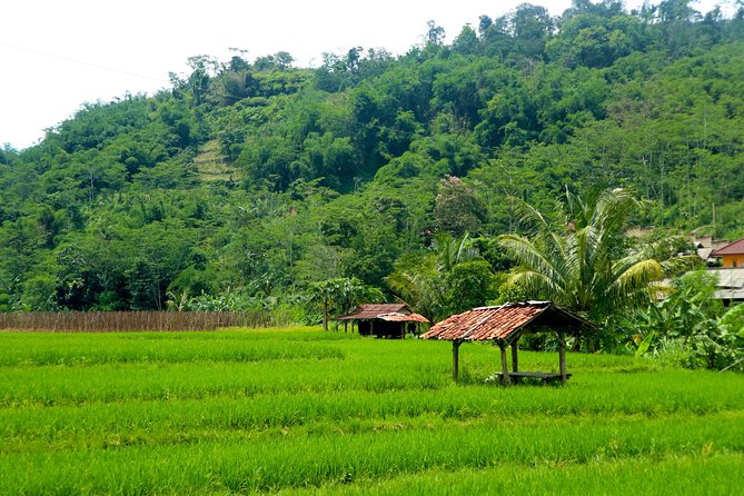 Bogor Botanical Garden & Rainforest Trekking to Hidden Waterfall - What Travelers Say