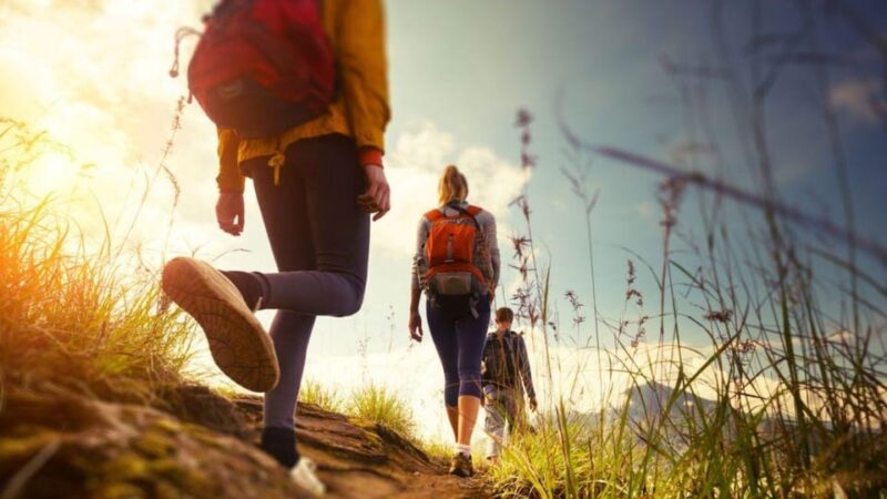 Canyamel: TimeForTwo, fun game,quiz and walk in nature - The Sum Up