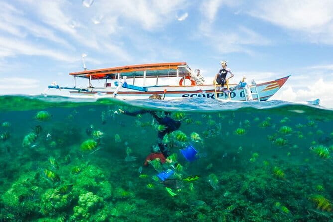 Car Hire in Lombok (Include Driver, Car, & Fuel) - The Sum Up: Is This the Right Choice?