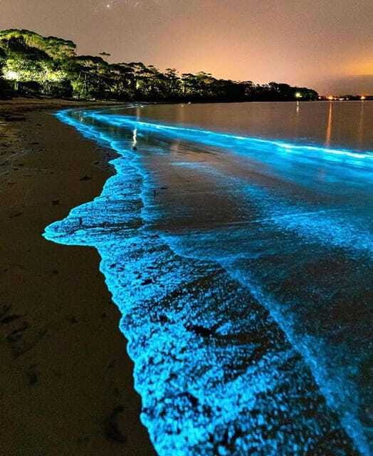 Cat Ba Island: Lan Ha Bay Bioluminescence Plankton Kayaking - Who Will Love This Tour?