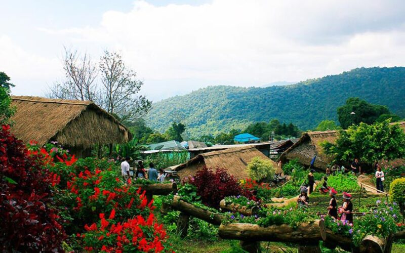 Chiang Mai: Half day Doi Suthep and Meo Village - Final Thoughts