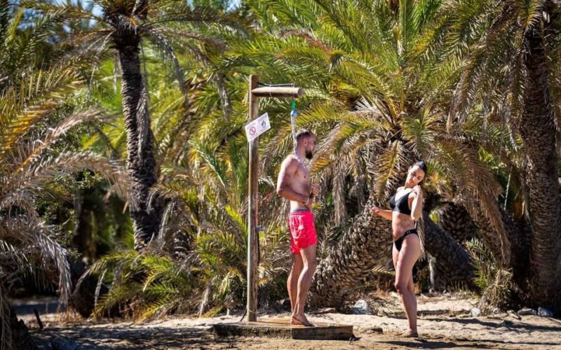 Crete and Heraklion Areas: Direct Day Trip Vai Beach - Who Should Consider This Tour?