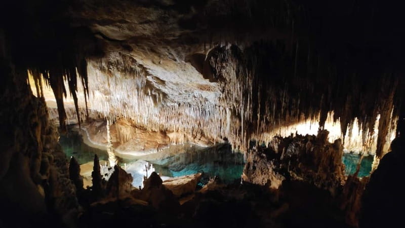 Drach Caves and Palma or Beach Retreat  Full-Day Tour - FAQ