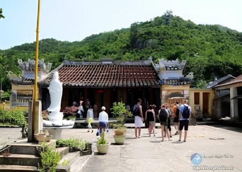 Explore Cham Island: Sightseeing and Snorkeling Adventure - Final Thoughts: Who Will Love This Tour?