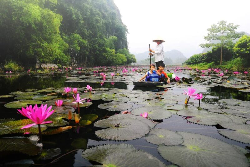 From Ha Noi: Perfume Pagoda  A Pagoda In Deep In A Cave - FAQ