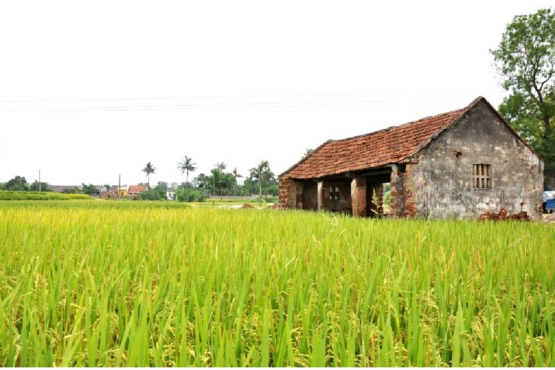 From Hanoi: Duong Lam Ancient Village Day Tour with Lunch - Final Thoughts