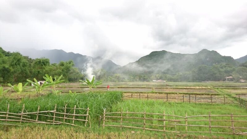 From Hanoi: Ninh Binh-Hoa Lu-Trang An-Mua-Cave-Buffet Lunch - In The Sum Up