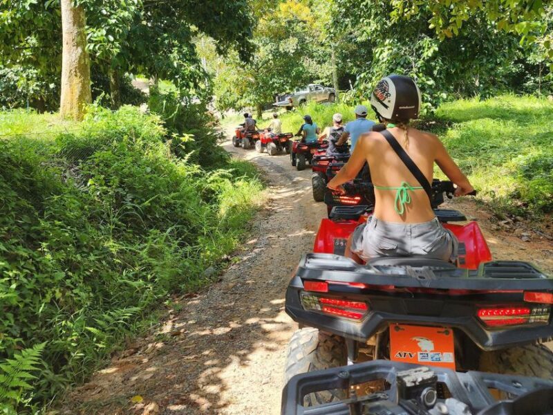 From Ko Pha Ngan: ATV Jungle Adventure Experience - Who Will Love This Tour?