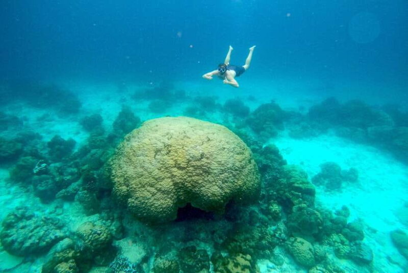 From Koh Lanta: Koh Haa & Koh Rok Snorkel Tour by Speedboat - FAQs