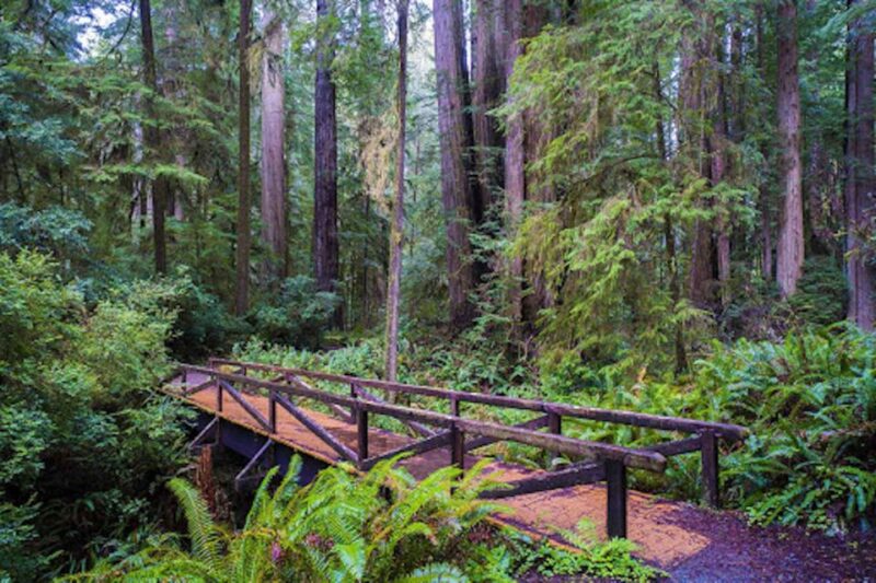 From San Francisco: Private Muir Woods and Napa Wine Tour - FAQ
