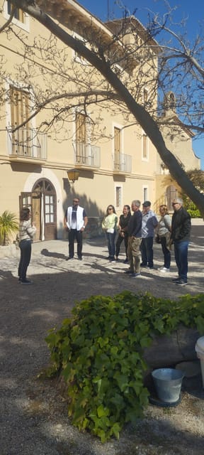 From Sitges: Wine Tasting at 2 Wineries, Snacks and Pickup - The Sum Up: Is This Tour Worth It?
