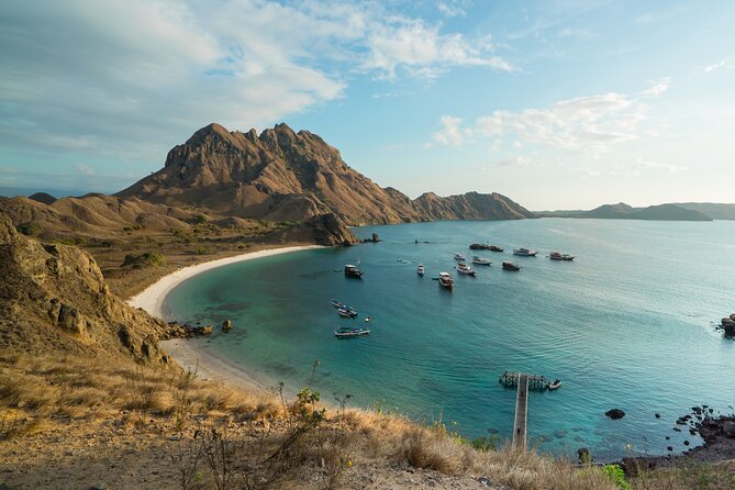 Full-Day Adventure Tour to komodo Island with join Speed Boat tur - FAQ: Common Questions About the Komodo Island Tour