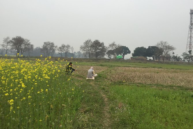 Full Day Lumbini Tour - FAQs