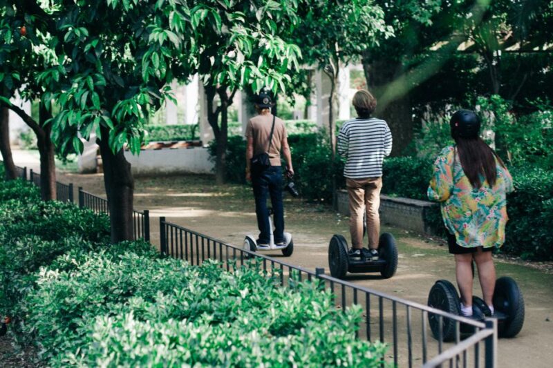 Granada: 1-Hour Panoramic Segway Tour - The Sum Up