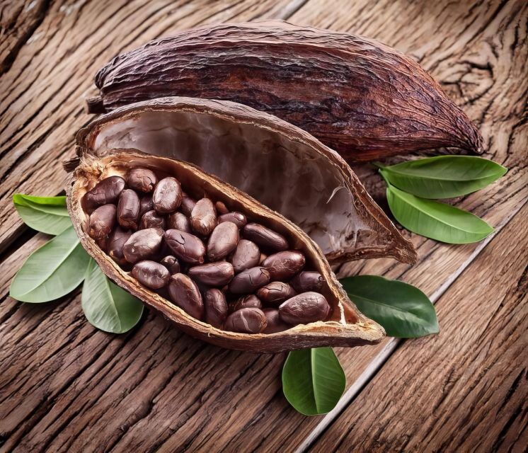 Haiku: Waterfall, Rainforest, and Handcrafted Chocolate Tour - Who Will Enjoy This Tour?