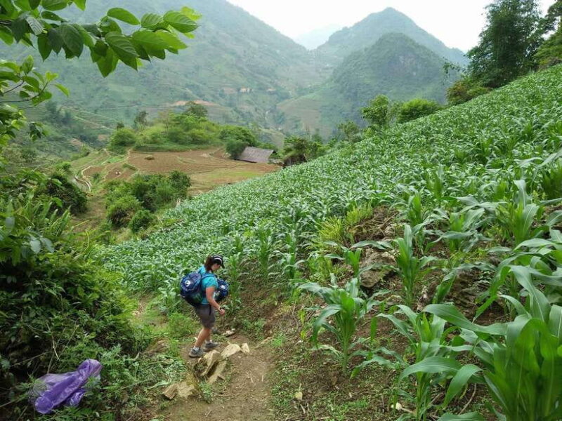 Hanoi- SaPa: 3-Day Homestay Trek to Explore Ethnic cultures - FAQ (Frequently Asked Questions)