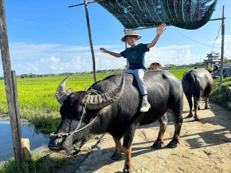 Hoi An : Eco Bicycle Tour with Basket Boat Ride and Lunch - FAQ
